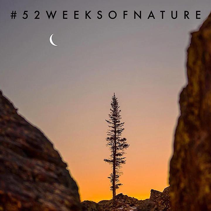 Week 13 Winner | Blog | HippyTree