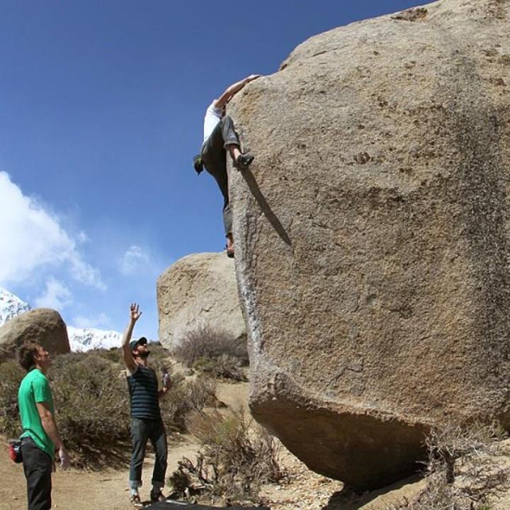 Pebble Wrestling | Blog | HippyTree