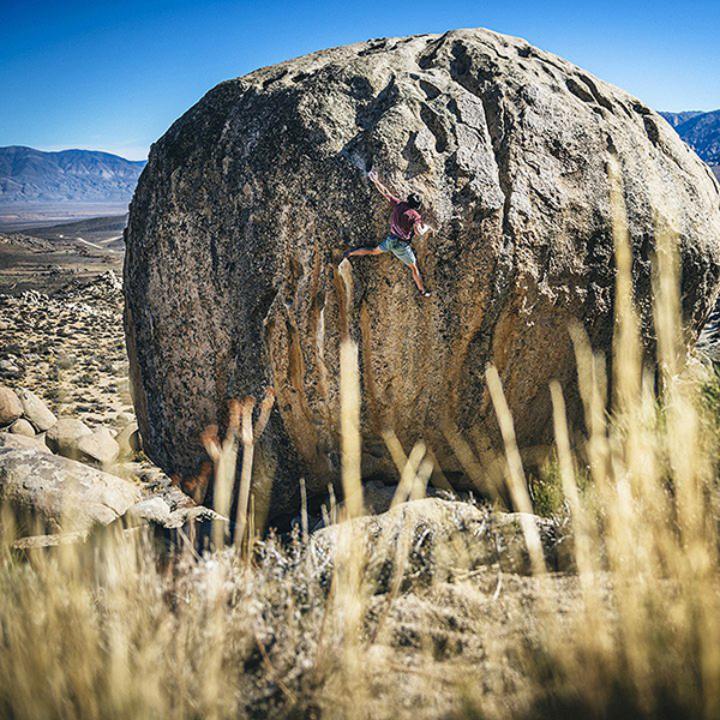 Pebble Wrestling | Blog | HippyTree