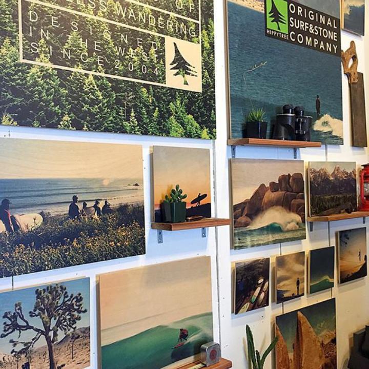 Thalia Surf Snapshot | Blog | HippyTree