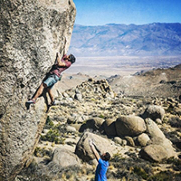 Pebble Wrestling | Blog | HippyTree